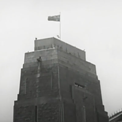 Tourists Came to See White Cats of Sydney Harbour Bridge Over 20 Years