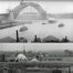Tourists Came to See White Cats of Sydney Harbour Bridge Over 20 Years