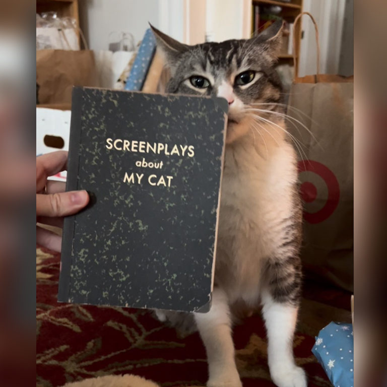 Winston Naughty Paws: The Story Of a Cat...and His Cinnamon Bottle