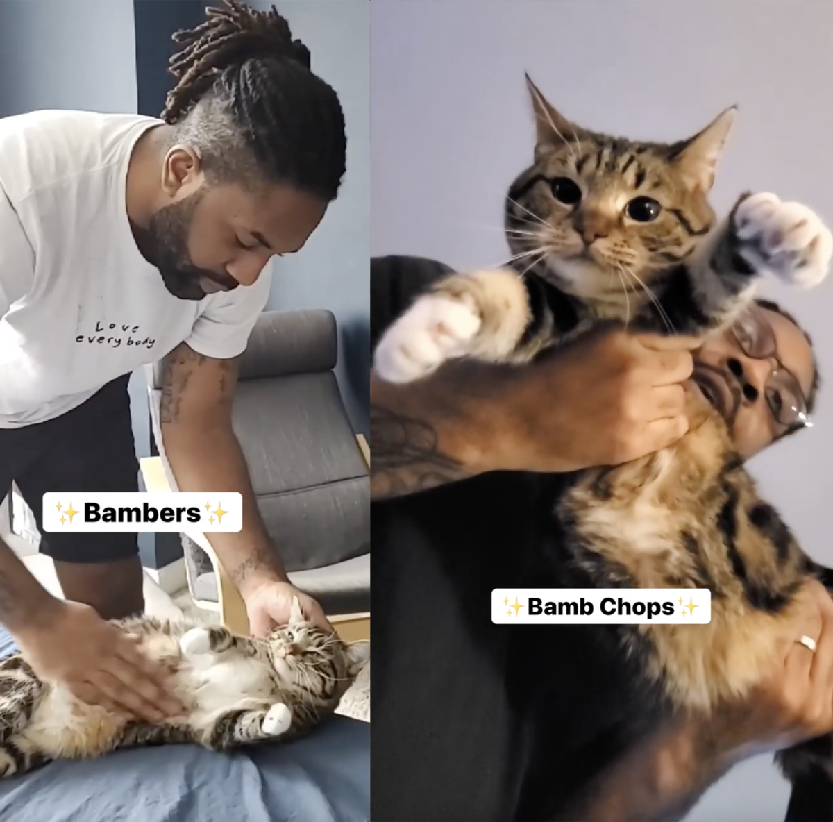 Abdul's Cats Shares Funny Things Cat People Do and We Can Relate