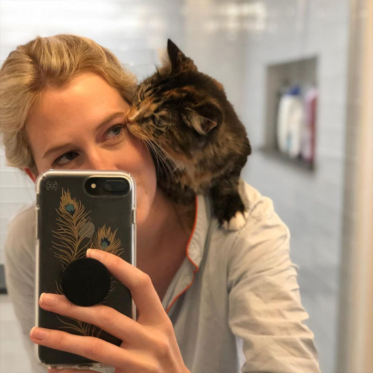 Foster Fail Kittens Roni and Cheese Change Chicago Family's Life