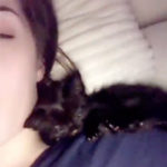 Jinx- Cat With the Biggest Eyes Became Mayor of Hell, MI for a Day