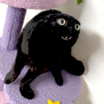 Jinx- Cat With the Biggest Eyes Became Mayor of Hell, MI for a Day