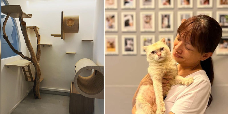 Home - Cole & Marmalade