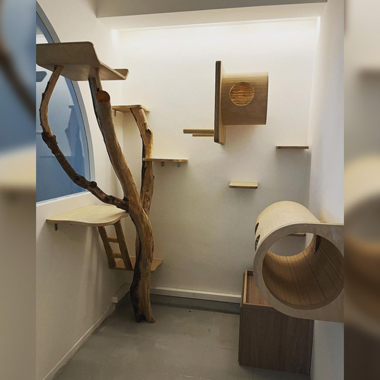 Luxury Boutique Cat Hotel Reimagines Pet Boarding for Cats and People
