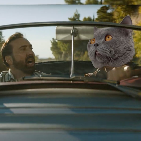 Lifelong Cat Lover Nicolas Cage Says Merlin the Cat is 'Best Friend'