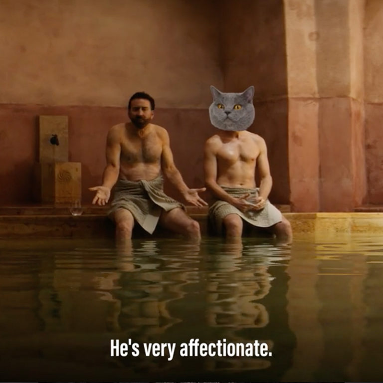 Lifelong Cat Lover Nicolas Cage Says Merlin the Cat is 'Best Friend'