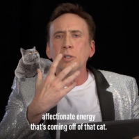 Lifelong Cat Lover Nicolas Cage Says Merlin the Cat is 'Best Friend'