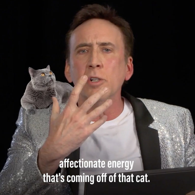 Lifelong Cat Lover Nicolas Cage Says Merlin the Cat is 'Best Friend'
