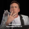 Lifelong Cat Lover Nicolas Cage Says Merlin the Cat is 'Best Friend'