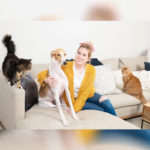 Foster Fail Kittens Roni and Cheese Change Chicago Family's Life