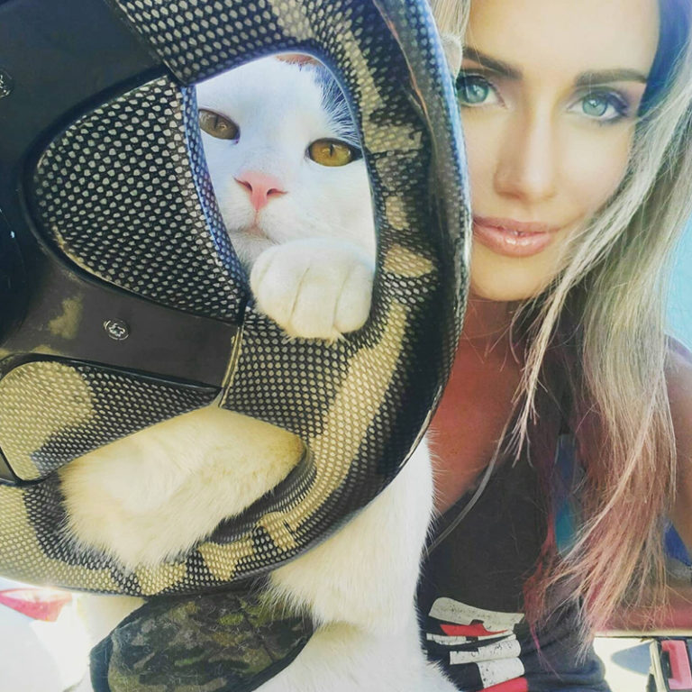 Cute Cat Louie And Nachos the Dog - Fast And Furry-ous Driving Tiny Car