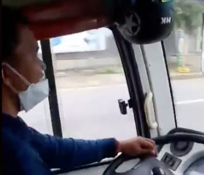 Kitten Saved by Mini-Bus Driver Becomes His Official Bus Buddy