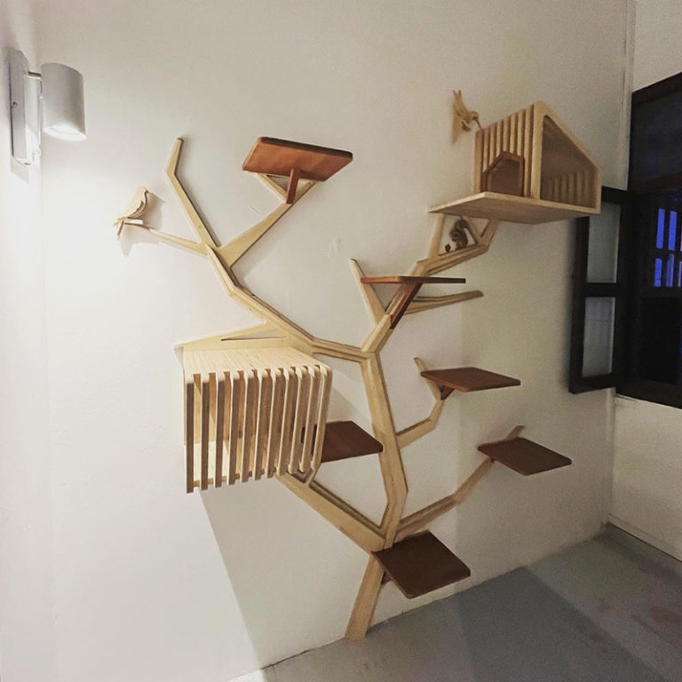 Luxury Boutique Cat Hotel Reimagines Pet Boarding for Cats and People