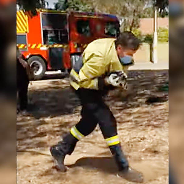 Firefighter Makes the Catch of a Lifetime, Saves Leaping Kitten on Camera