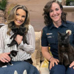 Lt. Ann Hoag and WA Firefighters Find Homes for 8 Abandoned Kittens