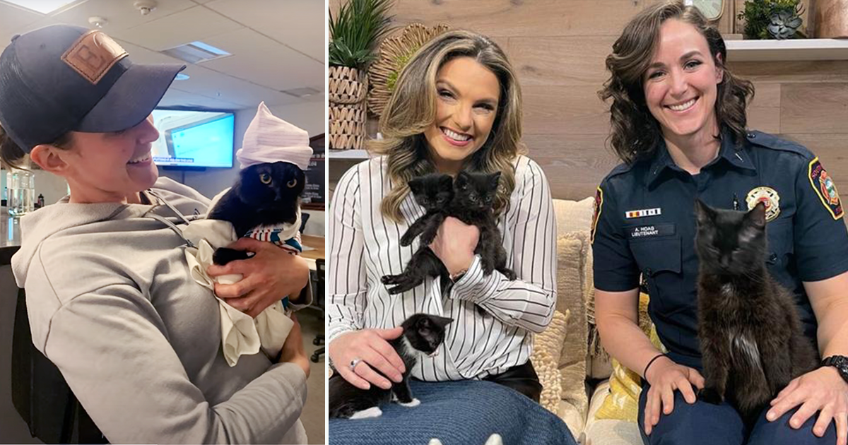 Lt. Ann Hoag and WA Firefighters Find Homes for 8 Abandoned Kittens