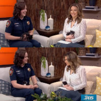 Lt. Ann Hoag and WA Firefighters Find Homes for 8 Abandoned Kittens