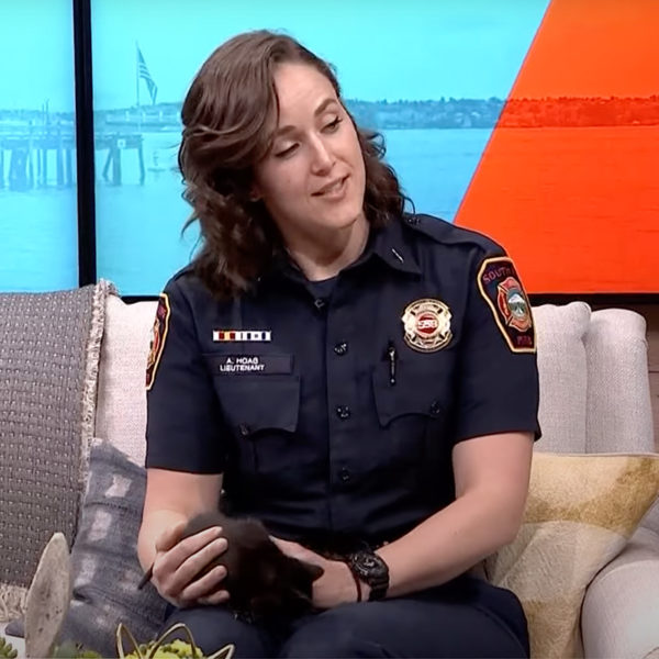 Lt. Ann Hoag and WA Firefighters Find Homes for 8 Abandoned Kittens