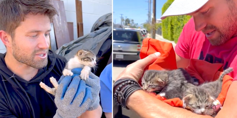 Nathan The Cat Lady Works Out Way to Rescue Kittens Near Gym