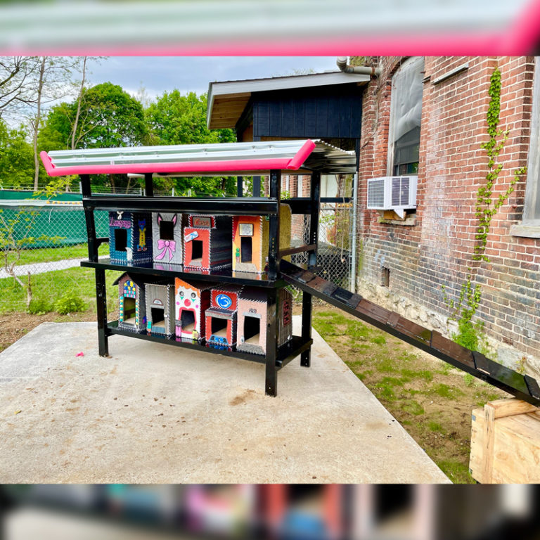 Cat Colony Gets Adorable 'Kitty Land' at Converted Historic Factory
