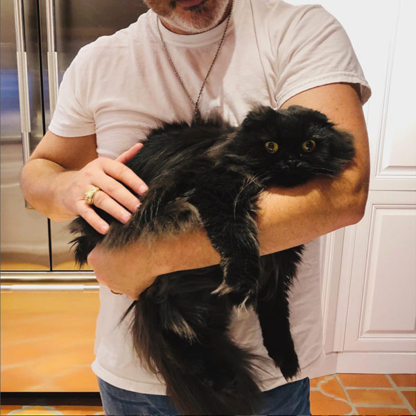 Rescued Cat Seamus Laughs Maniacally at His Silly Hooman Servants