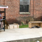 Cat Colony Gets Adorable 'Kitty Land' at Converted Historic Factory