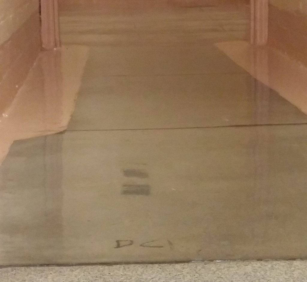 A 'Demon Cat' Haunts The Halls of The Capitol Building-What's The ...