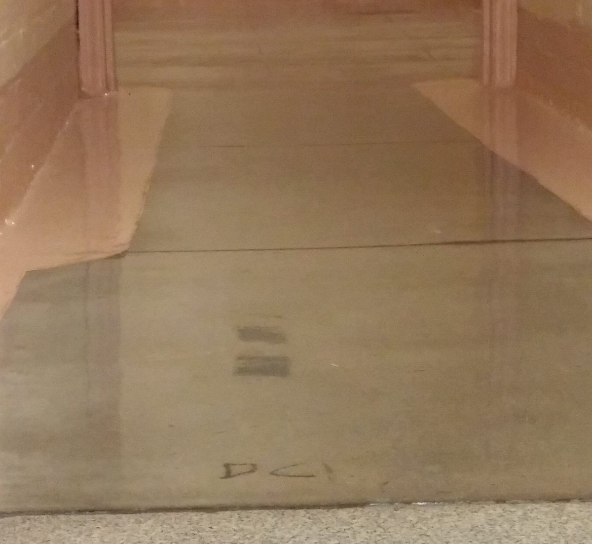 A 'Demon Cat' Haunts The Halls of The Capitol Building-What's The ...