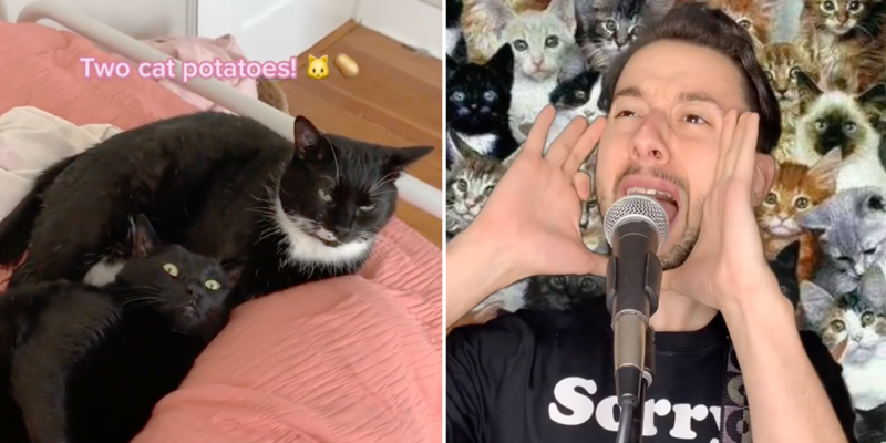 Singing Cat Uncle Performs Parody Songs About His Love for Felines
