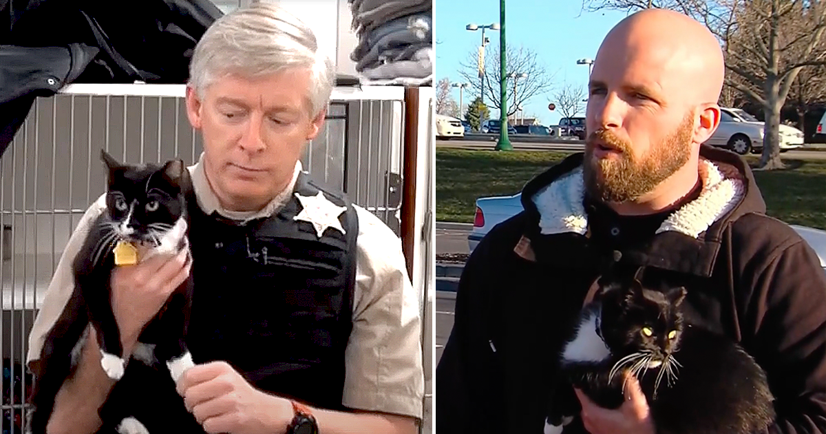 Sheriff Department April Fools' Joke Trades K-9's for Cute Police Felines