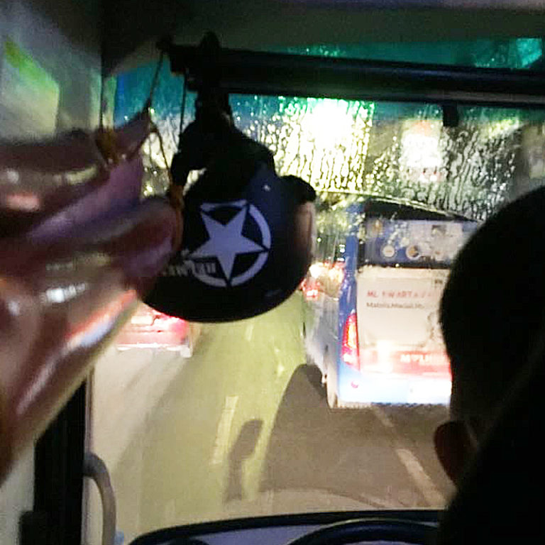 Kitten Saved by Mini-Bus Driver Becomes His Official Bus Buddy