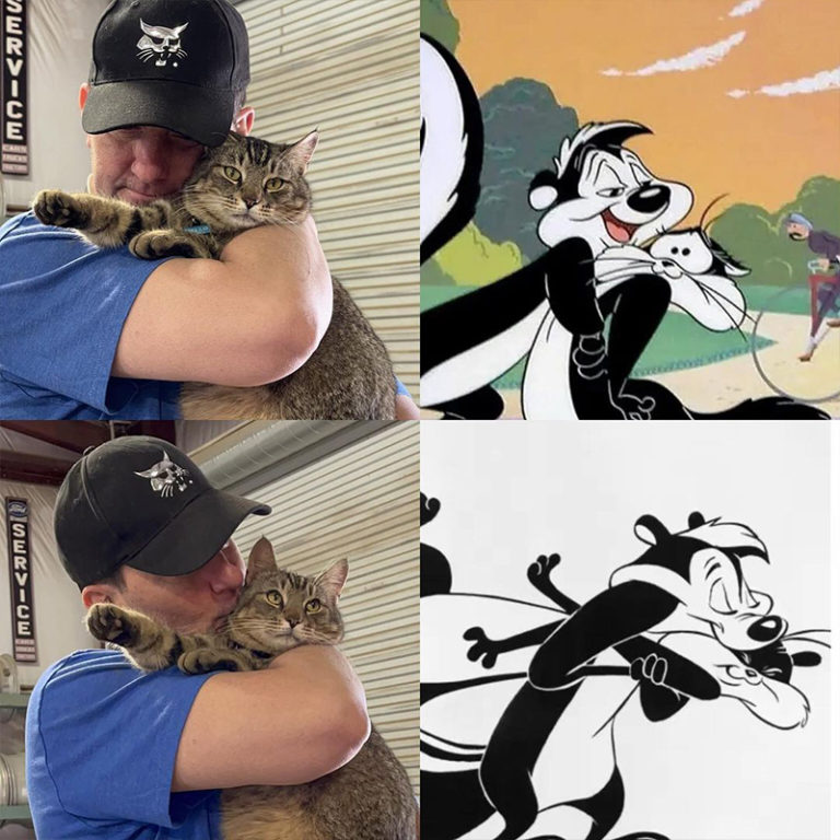 How Buster The Junkyard Cat Showed Up One Day and Became King