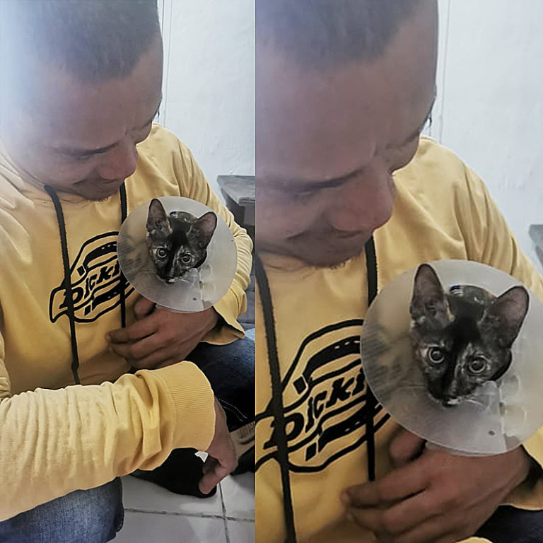 Kitten Saved by Mini-Bus Driver Becomes His Official Bus Buddy