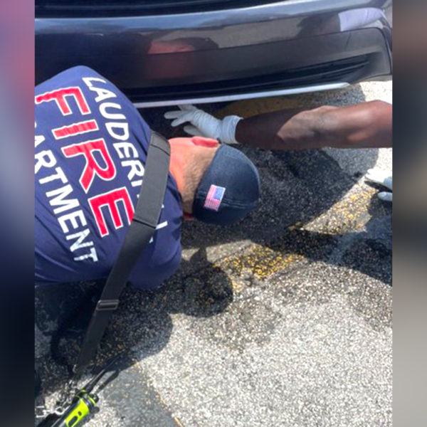 Lauderhill Fire Rescue Saves Kitten From Car Engine