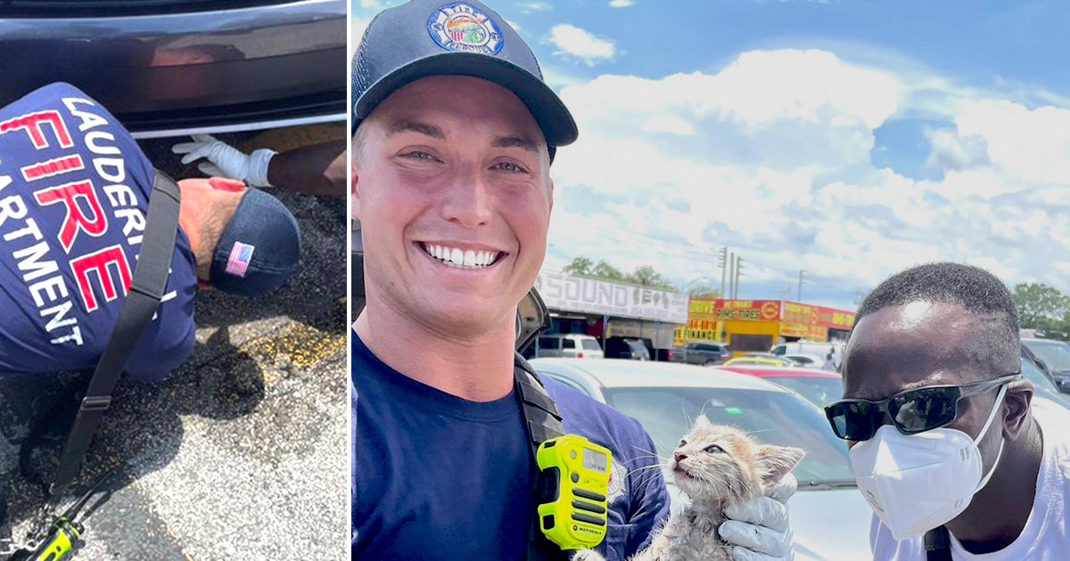 Lauderhill Fire Rescue Saves Kitten From Car Engine