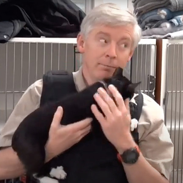 Sheriff Department April Fools' Joke Trades K-9's for Cute Police Felines