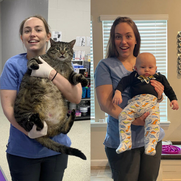 Offers Flood in to Adopt '30 Pounds of Love', Rescued Cat Named Seven