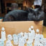 Ceramics Artist Who Shares Studio with Cats Creates Magical Felines