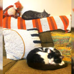 Family Cat Thomas is Inseparable from Kitten Found Abandoned