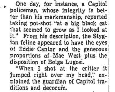 A 'Demon Cat' Haunts The Halls of The Capitol Building-What's The ...