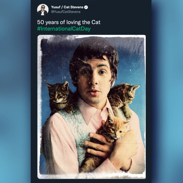 Cat Stevens’ Love for Felines and How He Got His Purrfect Name