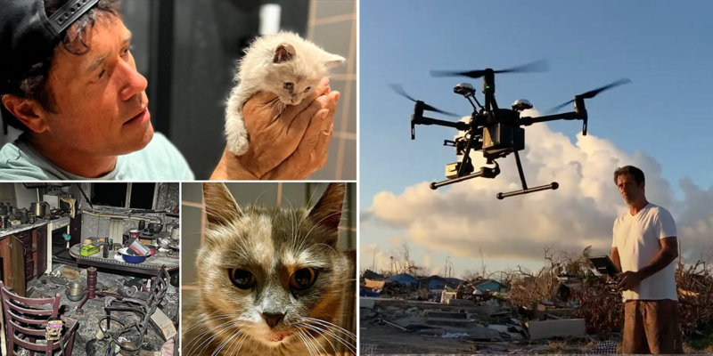 Heroic Rescuer Uses Drones to Save Cats and Animals Worldwide