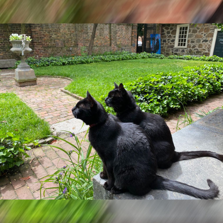 Poe Museum is Home to Black Cat Guides, Pluto and Edgar