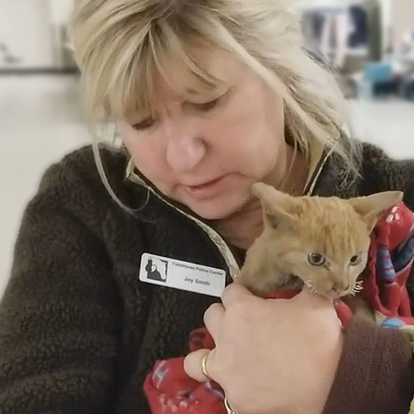 The Fire Cats Documentary Tells Stories of Heroic Cat Rescuers