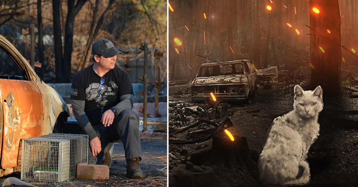 The Fire Cats Documentary Tells Stories of Heroic Cat Rescuers