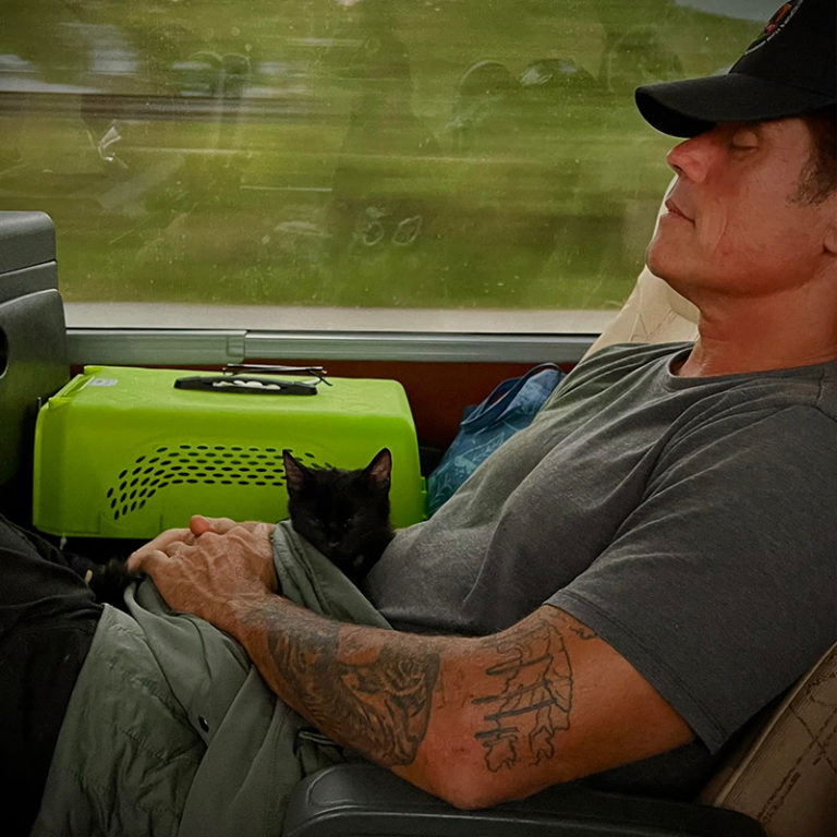 The Fire Cats Documentary Tells Stories of Heroic Cat Rescuers