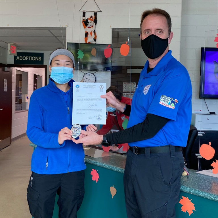 Heroes Come to Rescue After Woman Finds Cat on Window Ledge