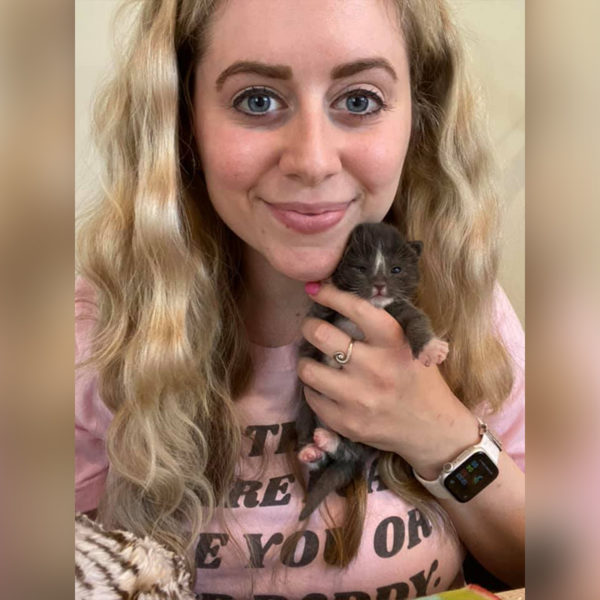 Followers of Rescued Mother/Son Cat Duo Adopt Them After They're ...