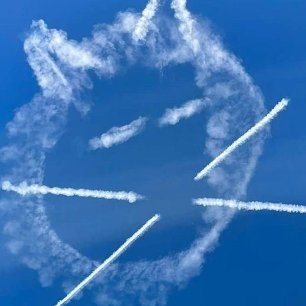 Road Trip! Cat Stows Away In Her Family's Car To Go On Vacation